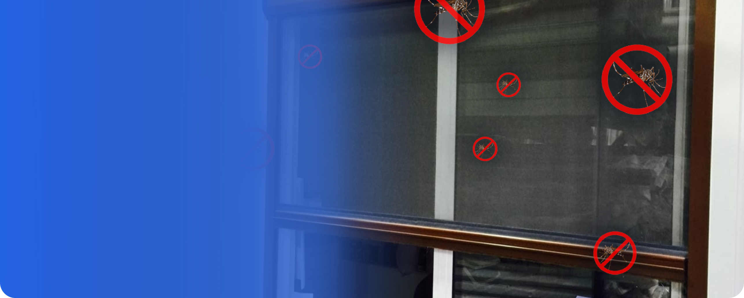 Openable Mosquito Net for Windows - StarNet